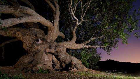 Windows 7官方主题《抽象艺术》-设计壁纸-高清设计图片-第9图-娟娟壁纸